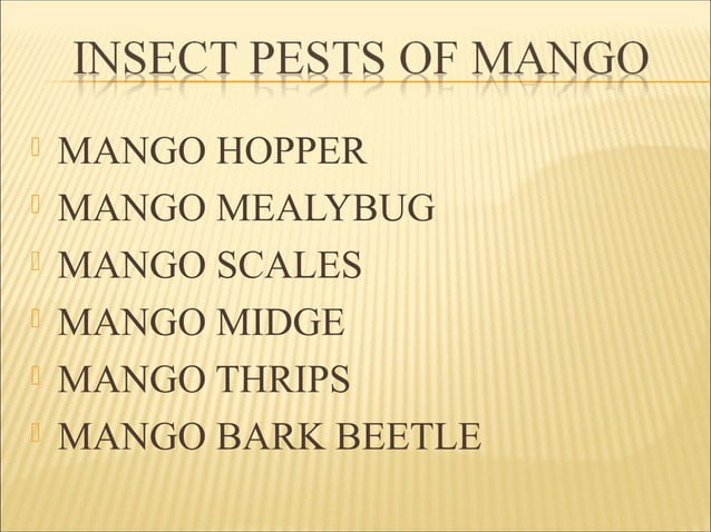 Mango Processing PPT of Pakistan | PPT