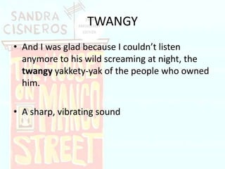 Mango Street Vocabulary | PPTX