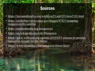 Mangrove.pptx