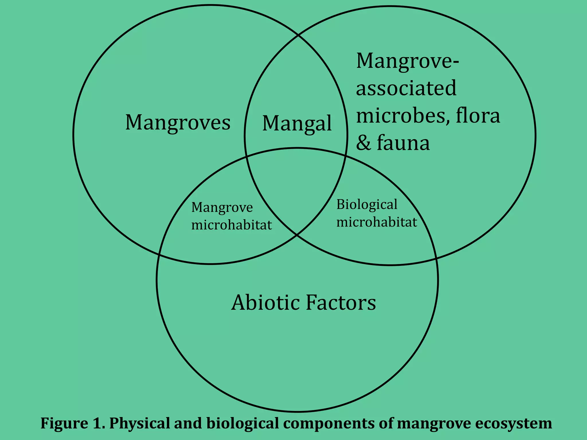 MANGROVE-ECOSYSTEM.pdf
