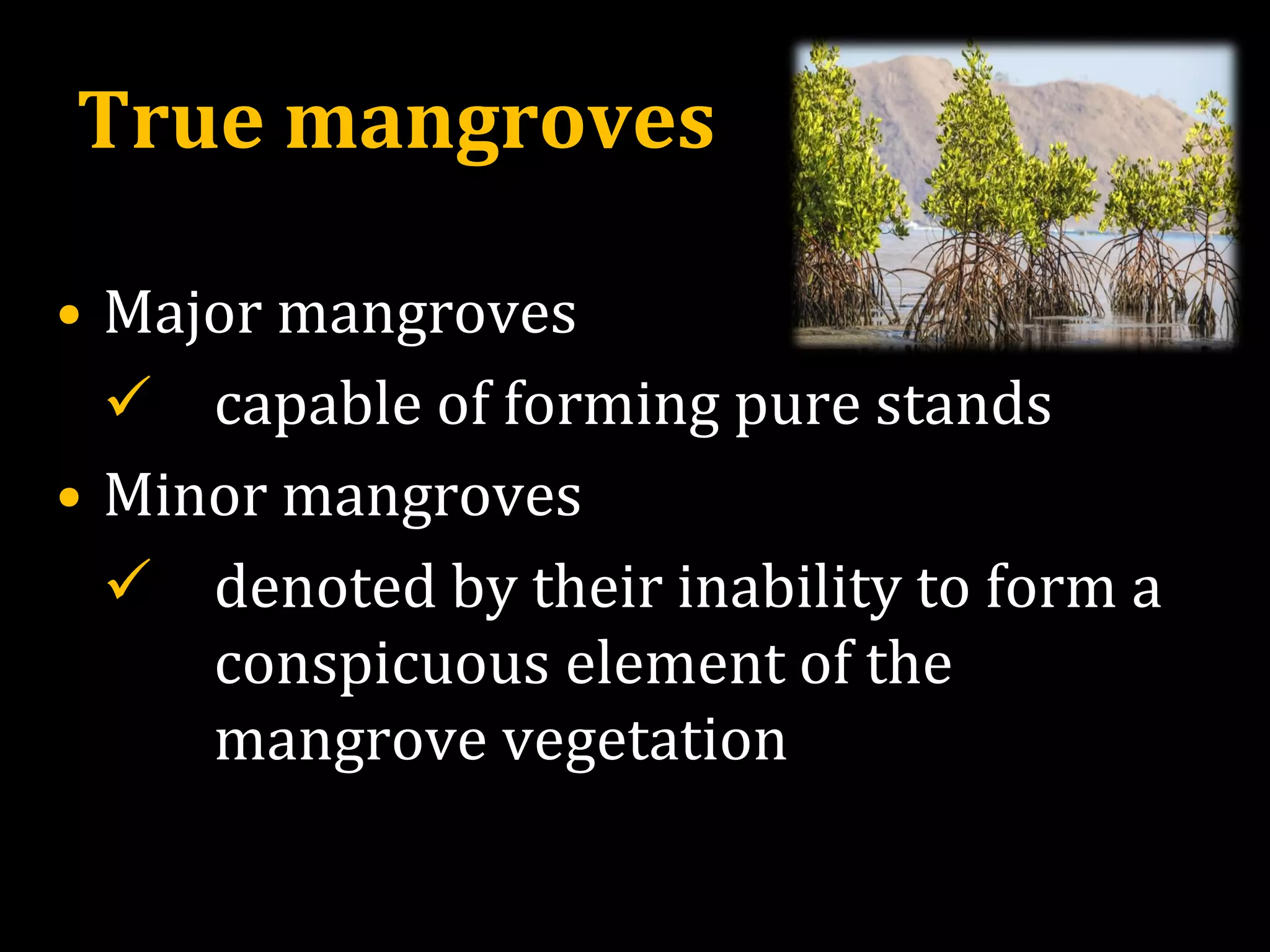 MANGROVE-ECOSYSTEM.pdf