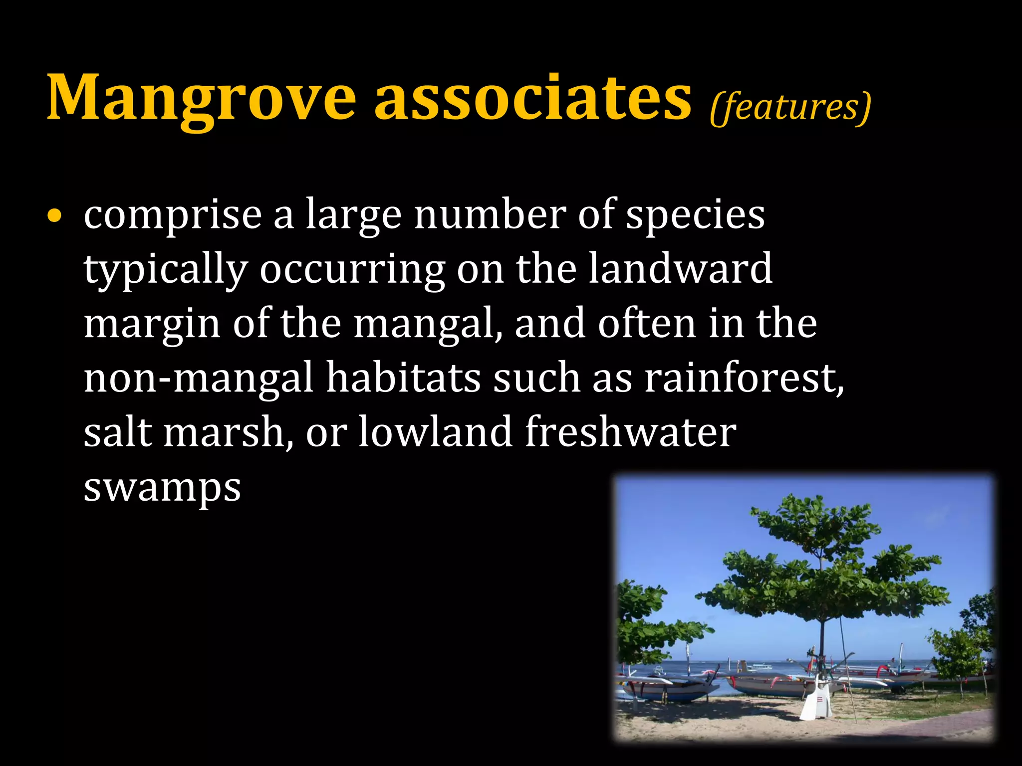MANGROVE-ECOSYSTEM.pdf