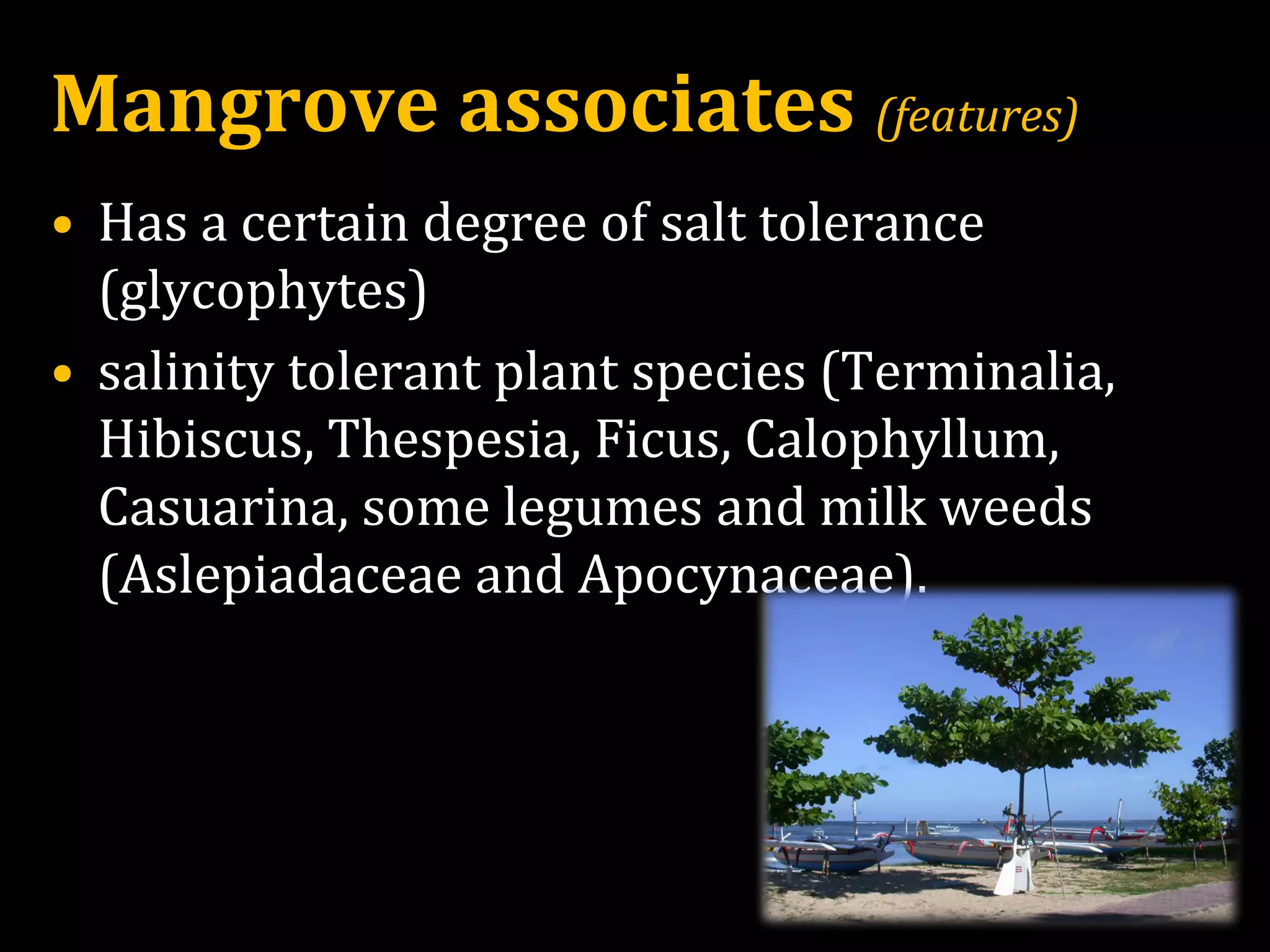 MANGROVE-ECOSYSTEM.pdf