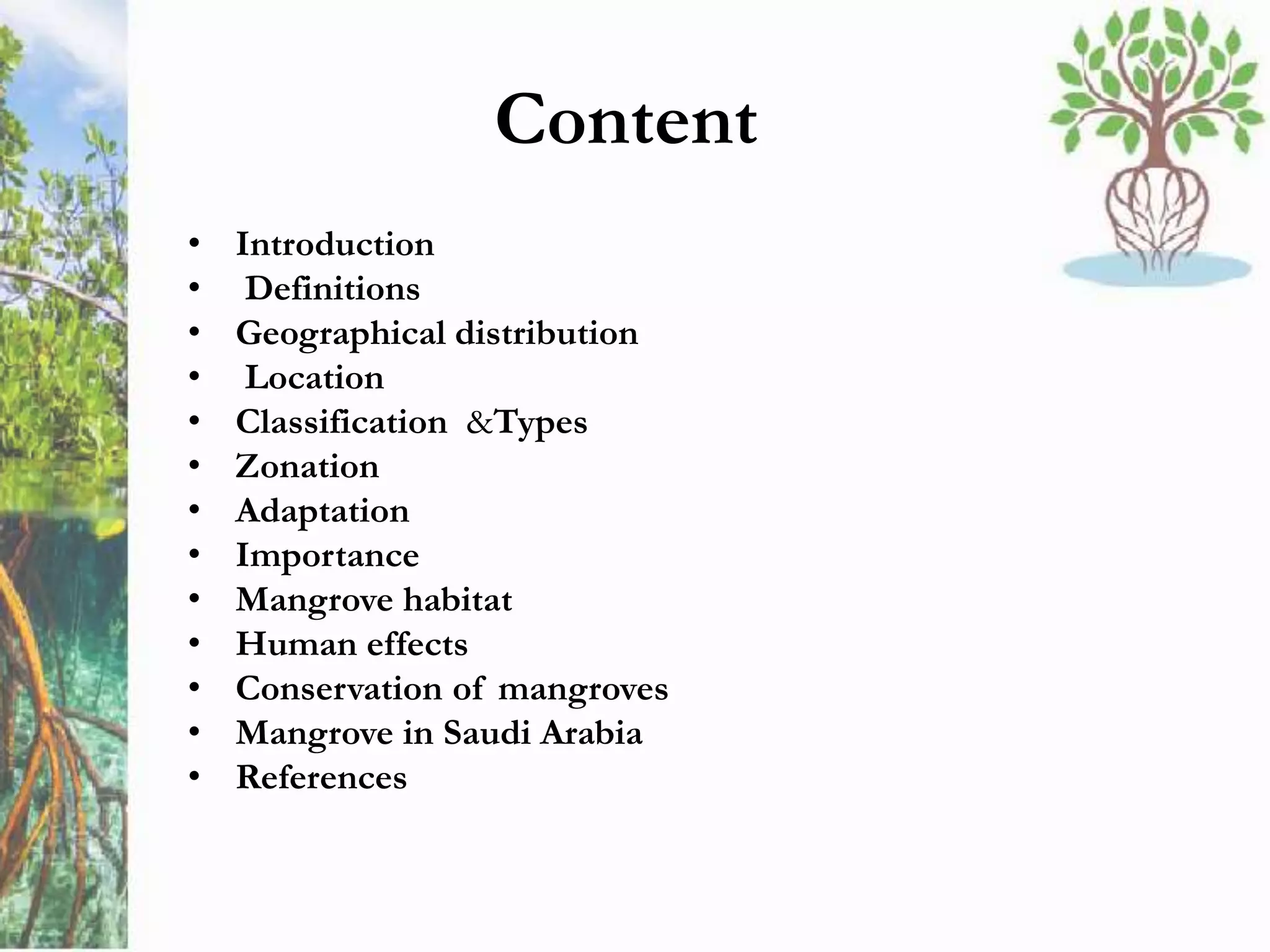 Mangrove | PPTX