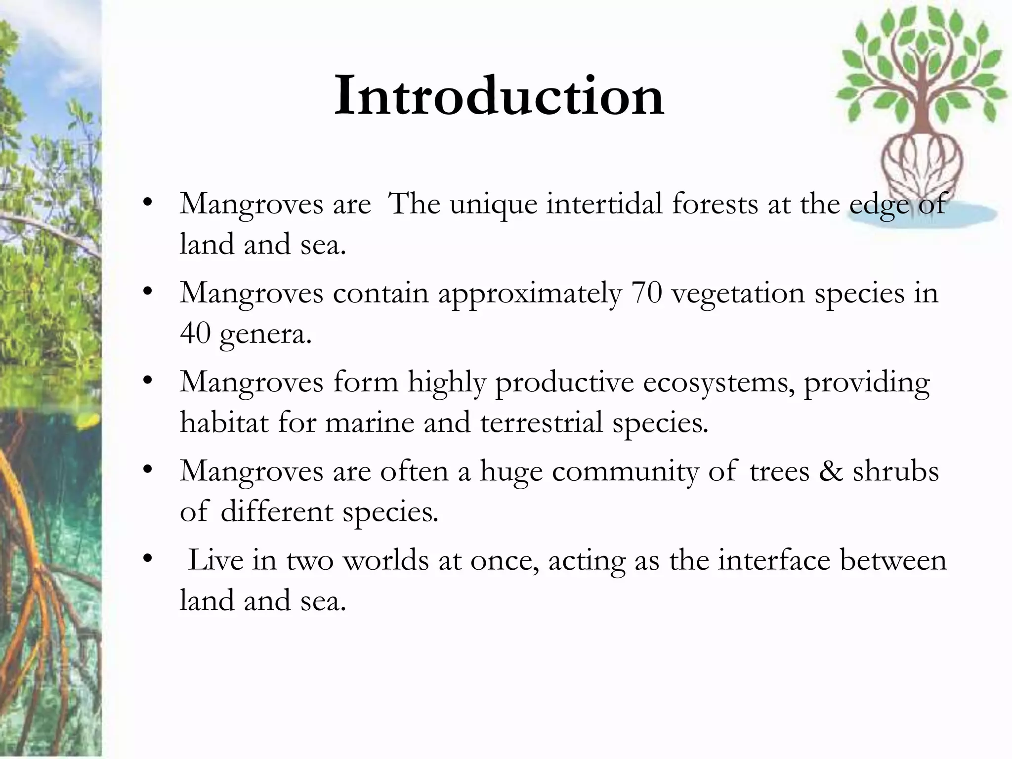 Mangrove | PPTX