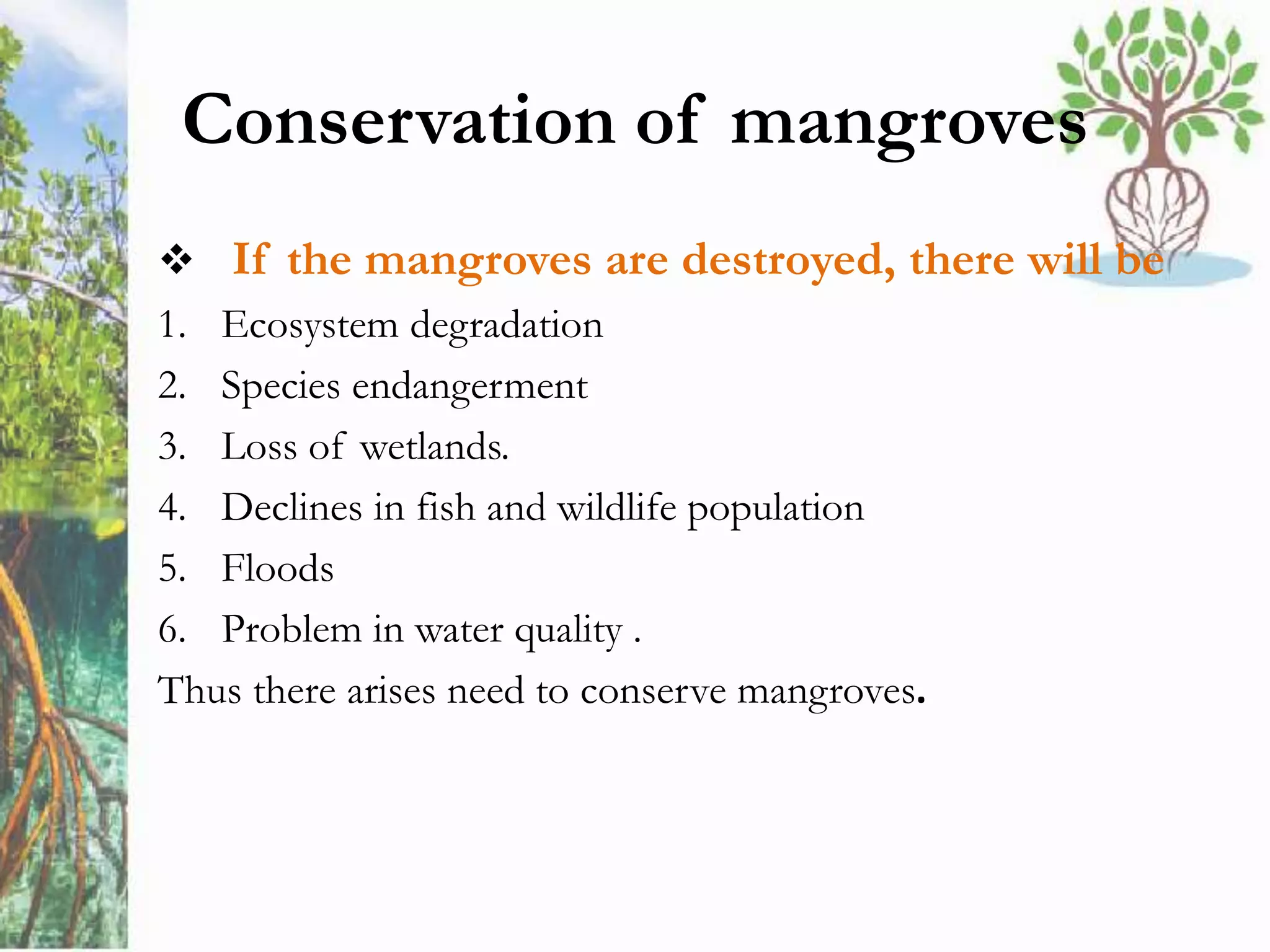 Mangrove | PPTX