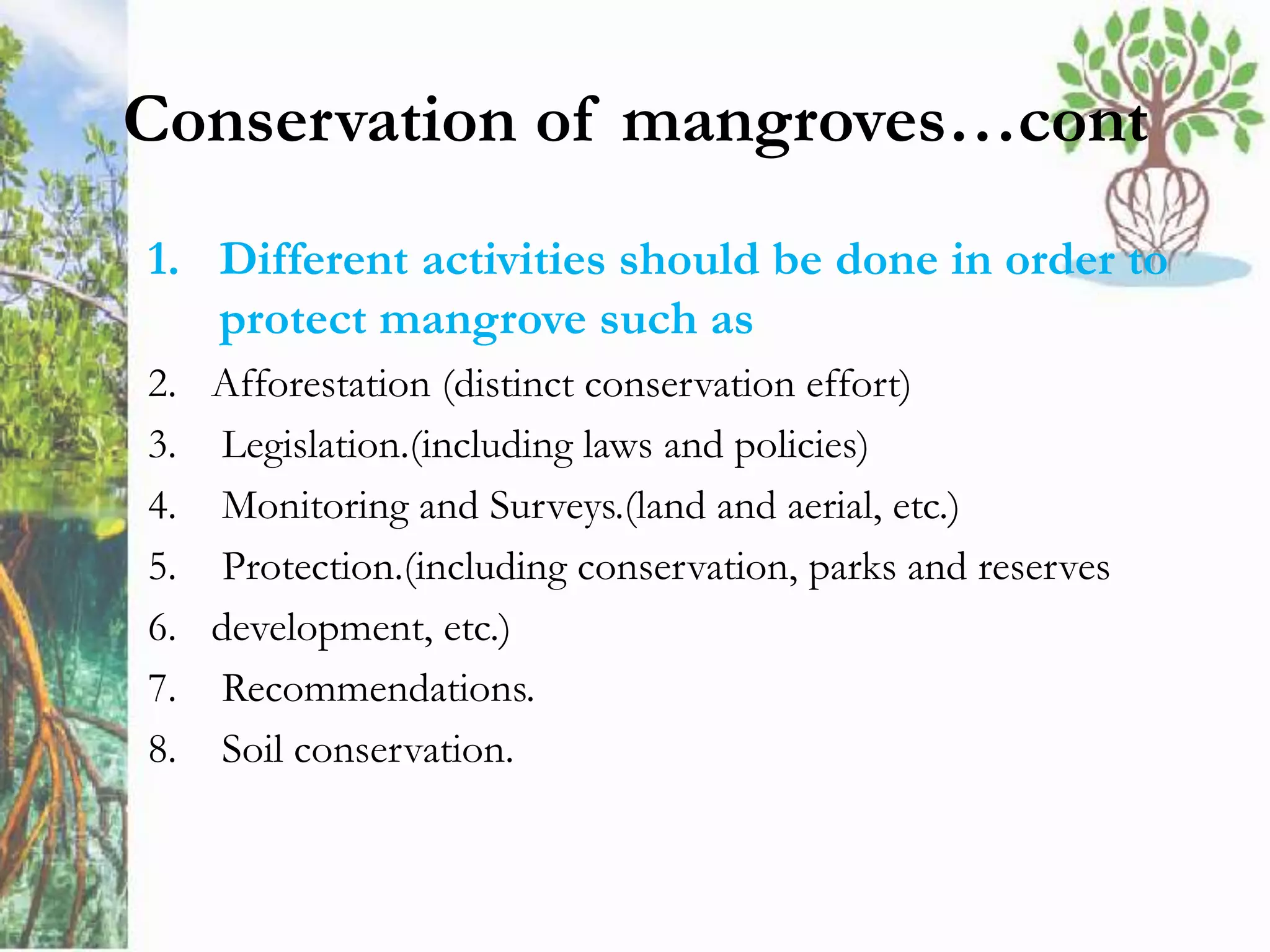 Mangrove | PPTX