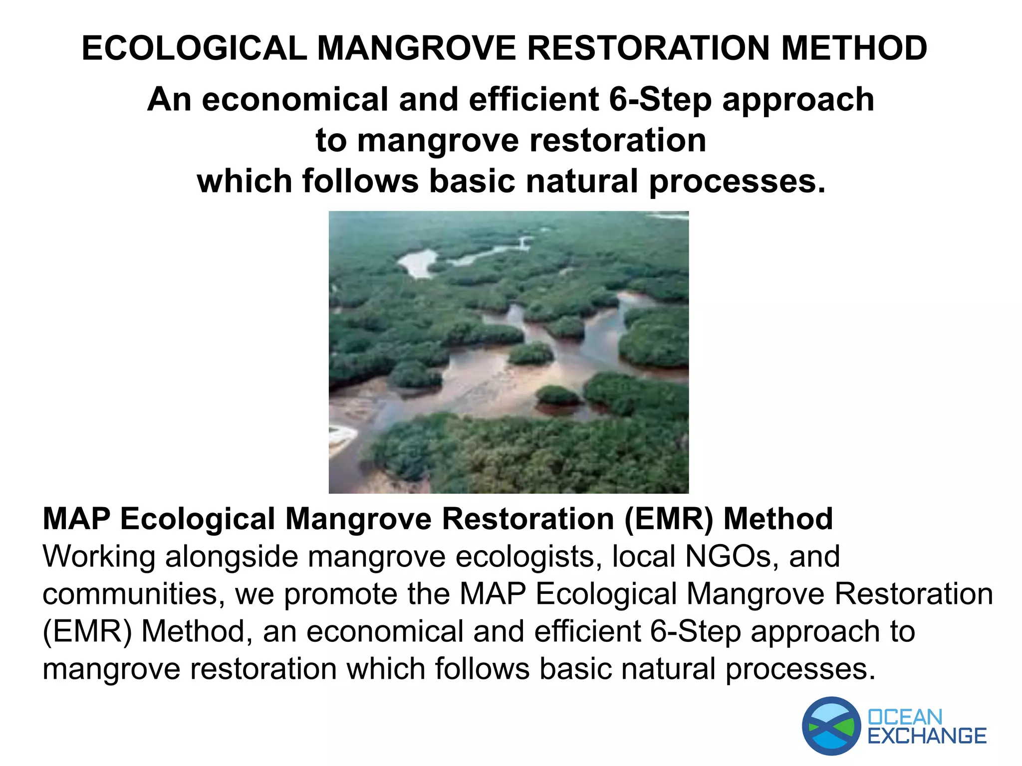 Mangrove Action Project | PPTX