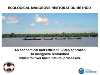 Mangrove Action Project | PPT