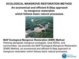 Mangrove Action Project | PPT