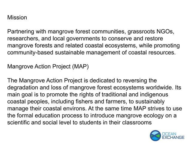 Mangrove Action Project | PPT