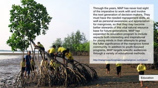 Mangrove Action Project Presentation | PDF