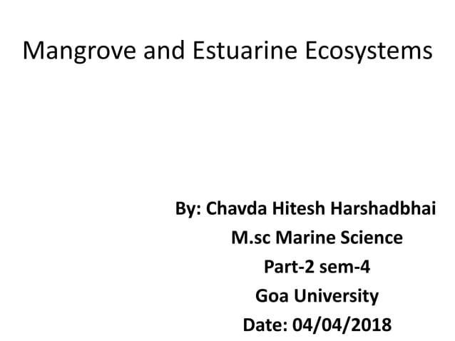Mangrove and estuarine ecosystems | PPTX