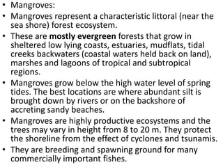 Mangrove and estuarine ecosystems | PPTX