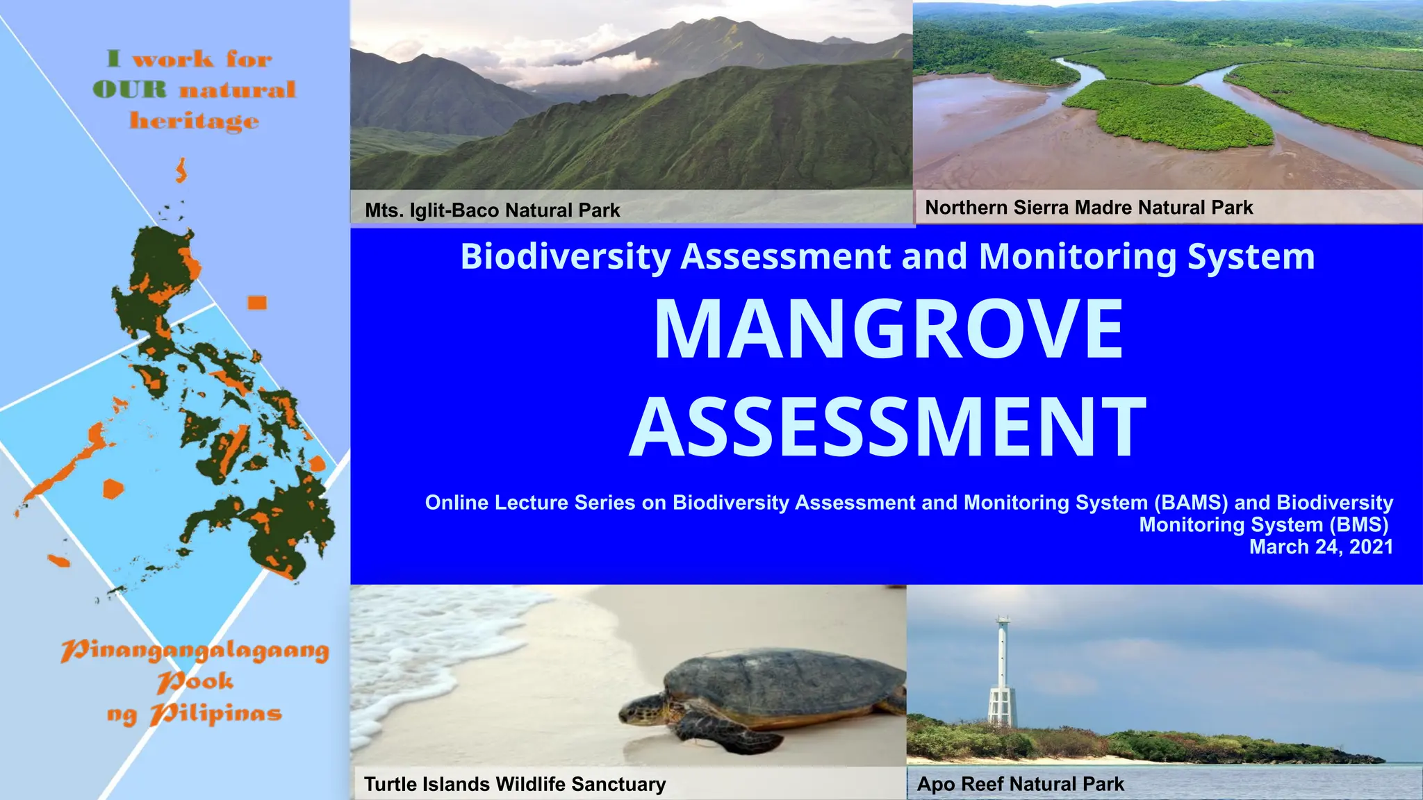 MANGROVE ASSESSMENT METHODS IN THE PHILIPPINES.pptx