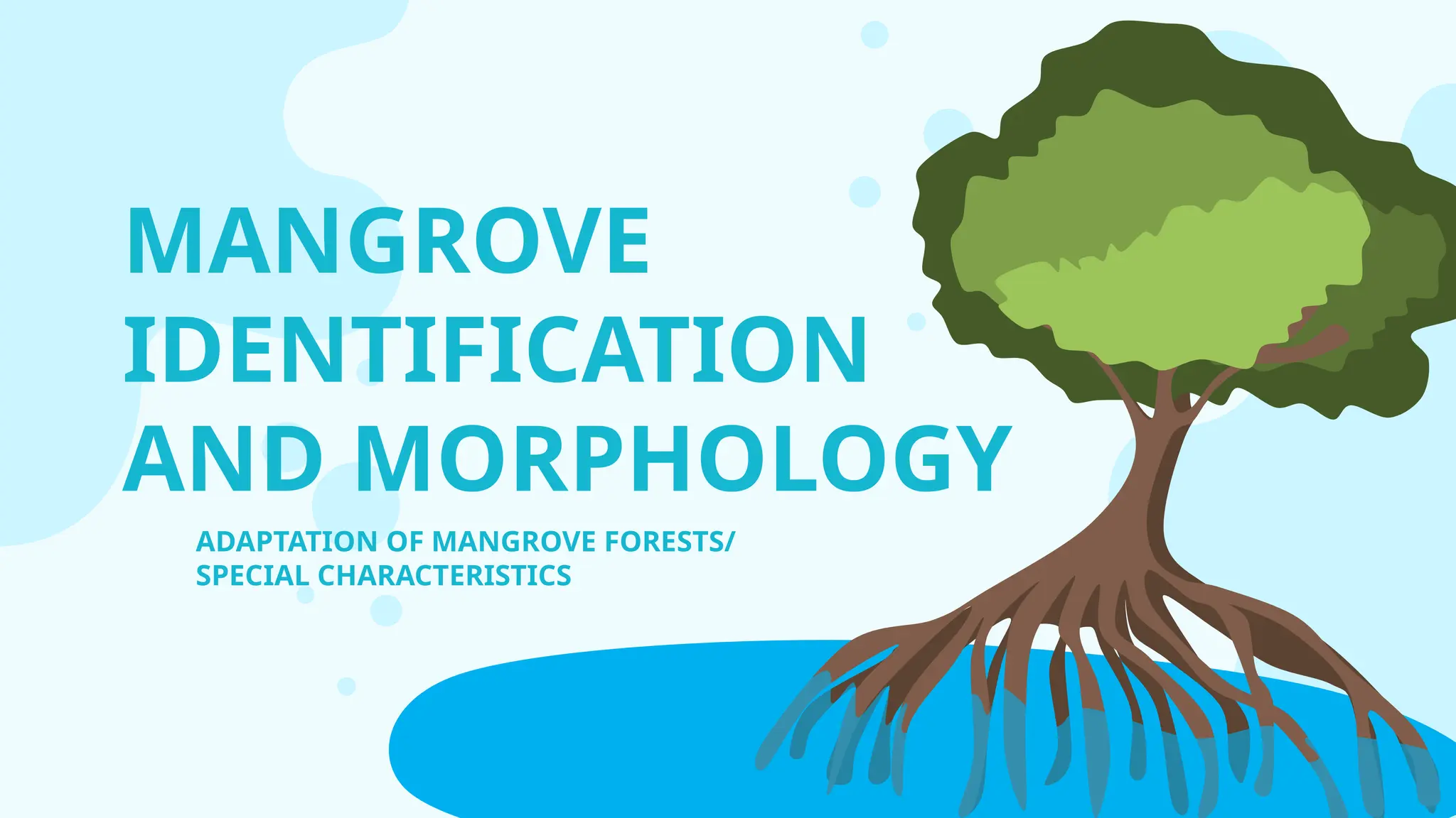 Mangrove Assessment Methods In The Philippines Pptx