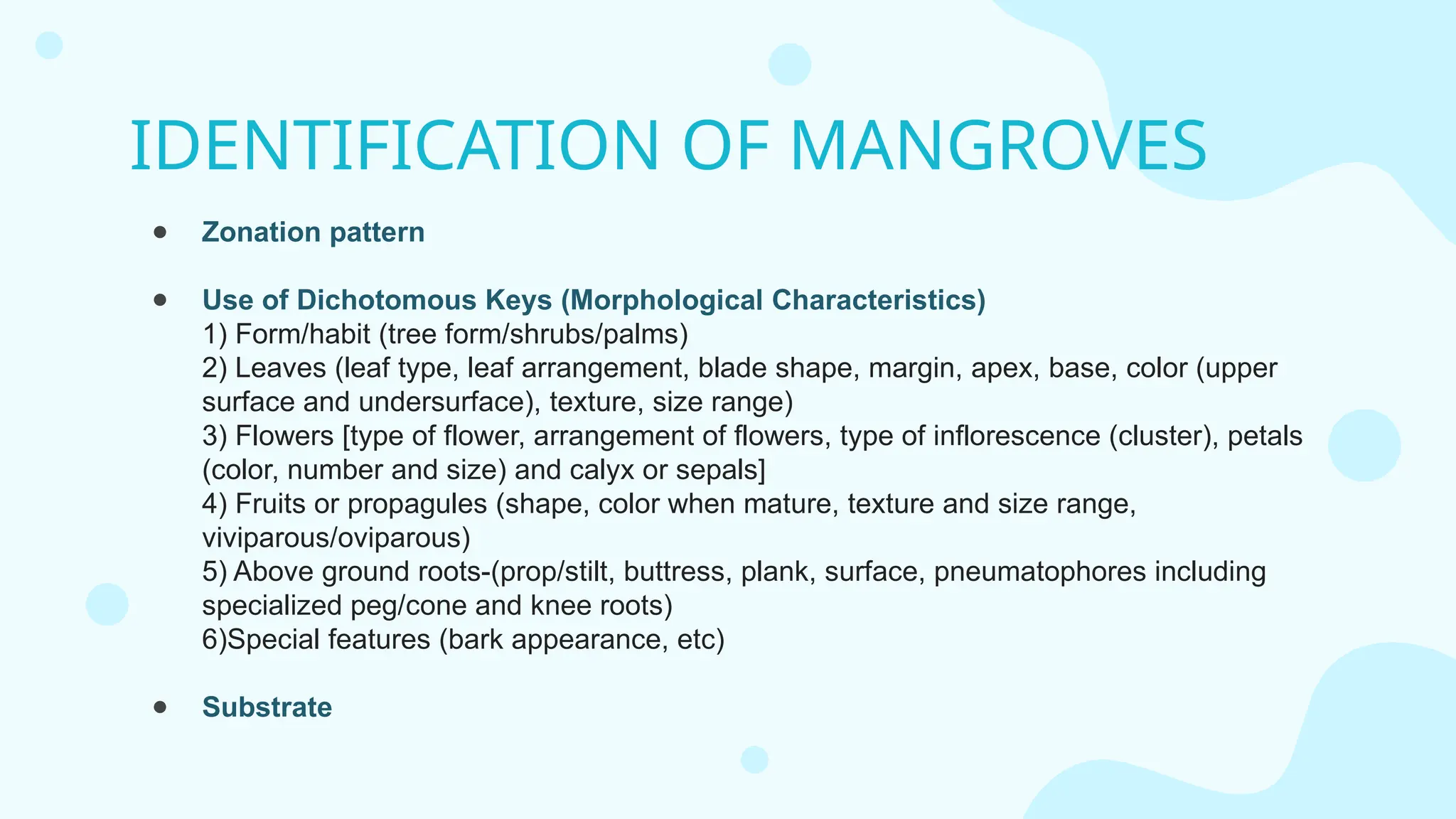 MANGROVE ASSESSMENT METHODS IN THE PHILIPPINES.pptx