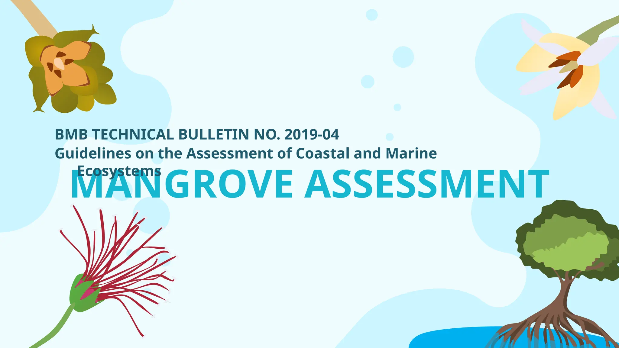MANGROVE ASSESSMENT METHODS IN THE PHILIPPINES.pptx