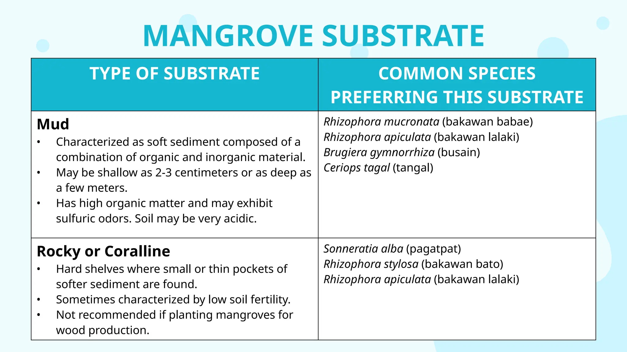 MANGROVE ASSESSMENT METHODS IN THE PHILIPPINES.pptx