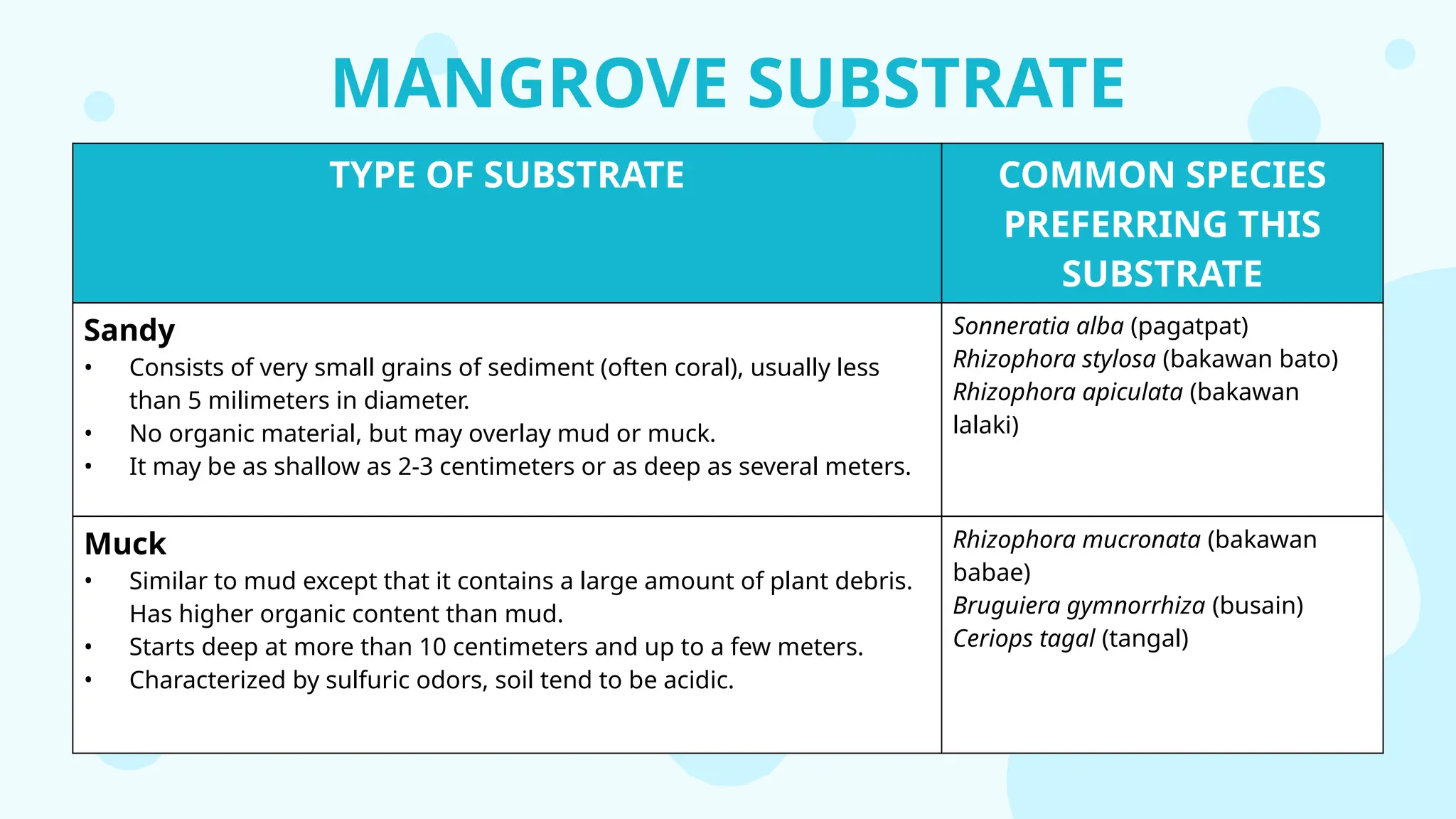 MANGROVE ASSESSMENT METHODS IN THE PHILIPPINES.pptx