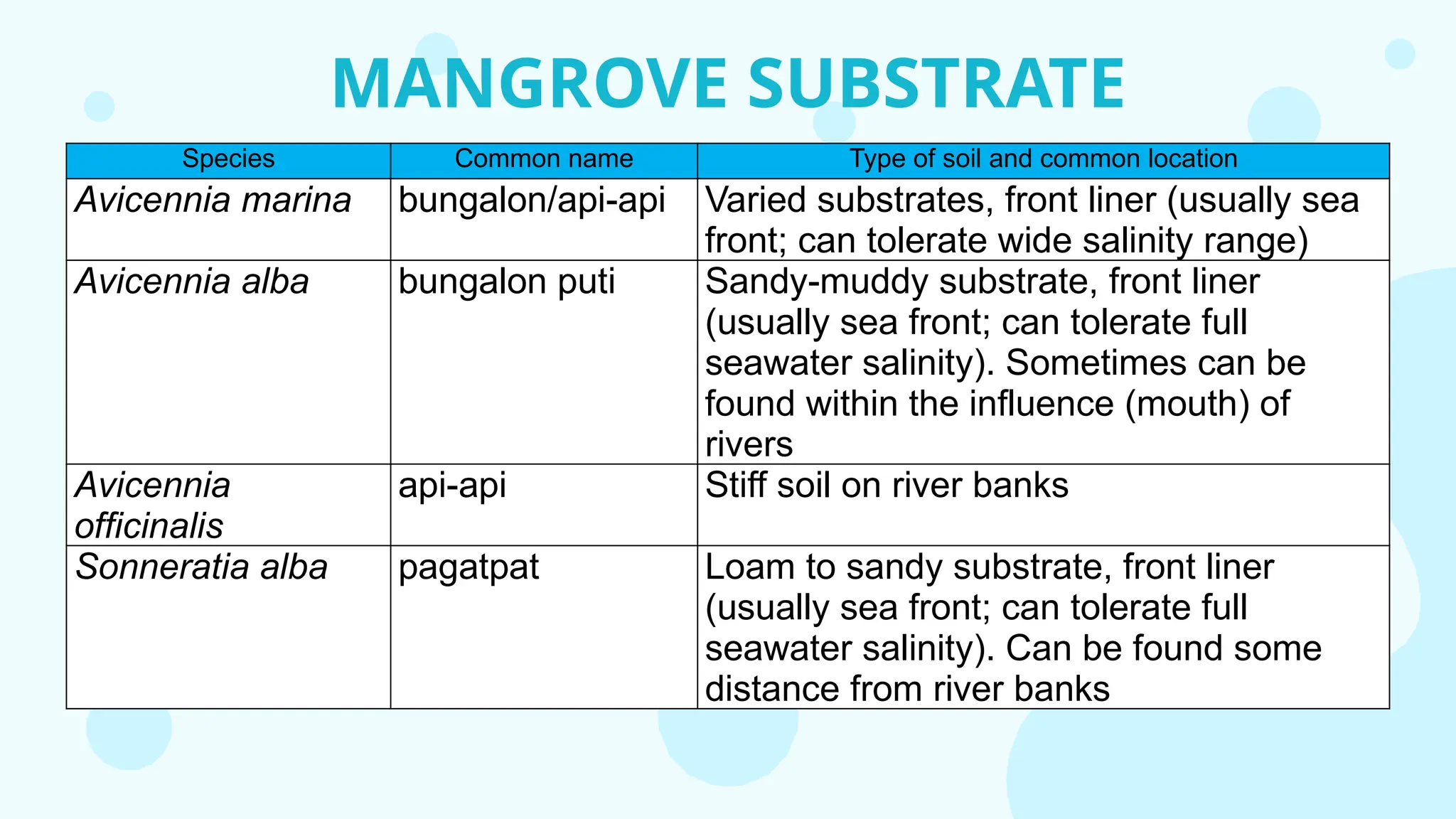 MANGROVE ASSESSMENT METHODS IN THE PHILIPPINES.pptx