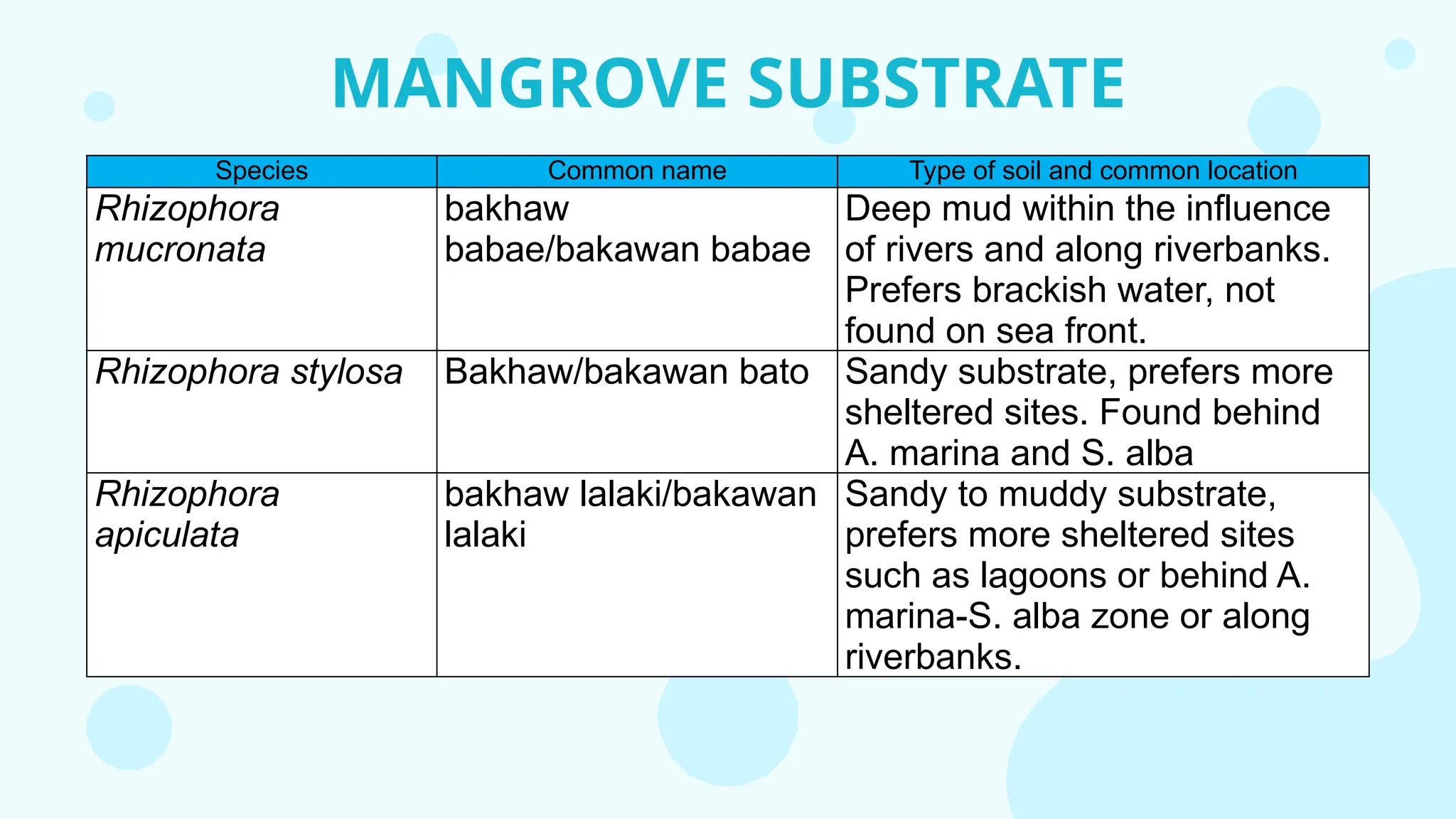 MANGROVE ASSESSMENT METHODS IN THE PHILIPPINES.pptx