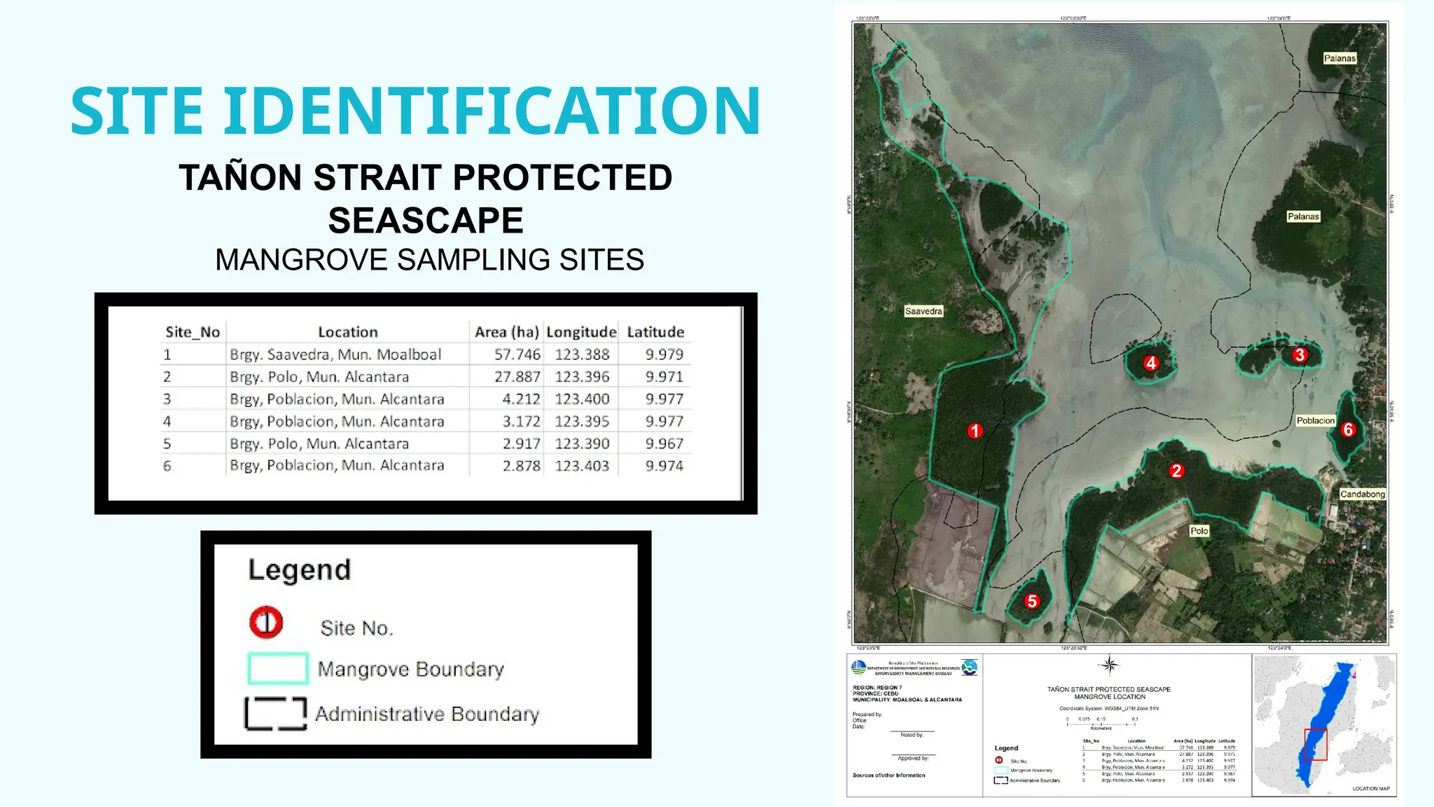 MANGROVE ASSESSMENT METHODS IN THE PHILIPPINES.pptx
