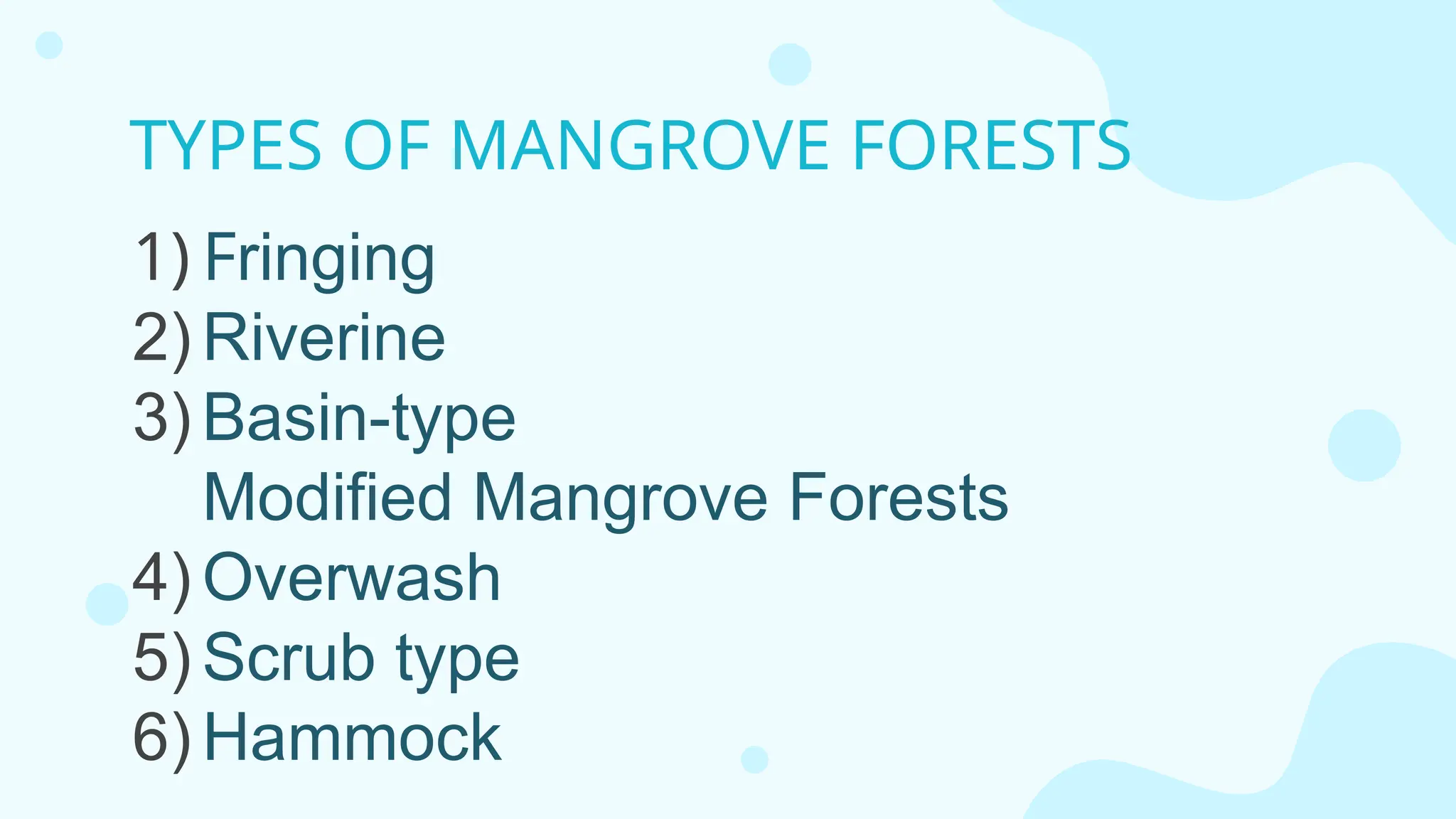 MANGROVE ASSESSMENT METHODS IN THE PHILIPPINES.pptx