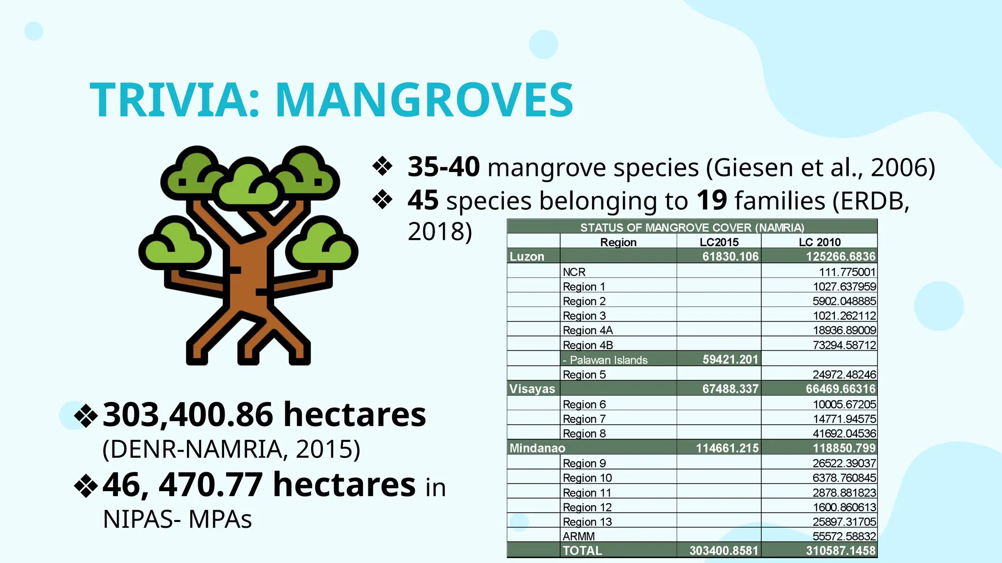 MANGROVE ASSESSMENT METHODS IN THE PHILIPPINES.pptx