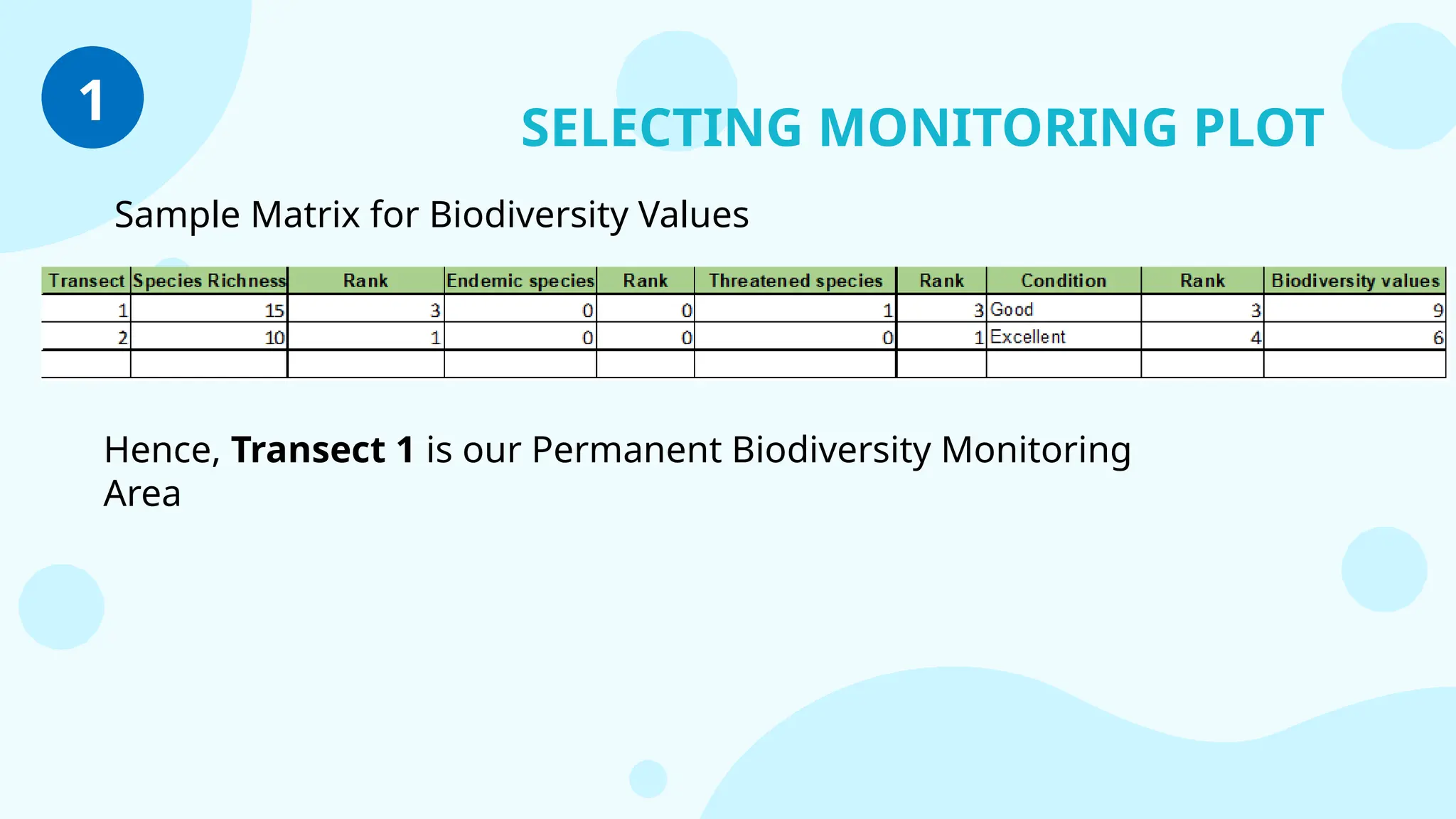 MANGROVE ASSESSMENT METHODS IN THE PHILIPPINES.pptx