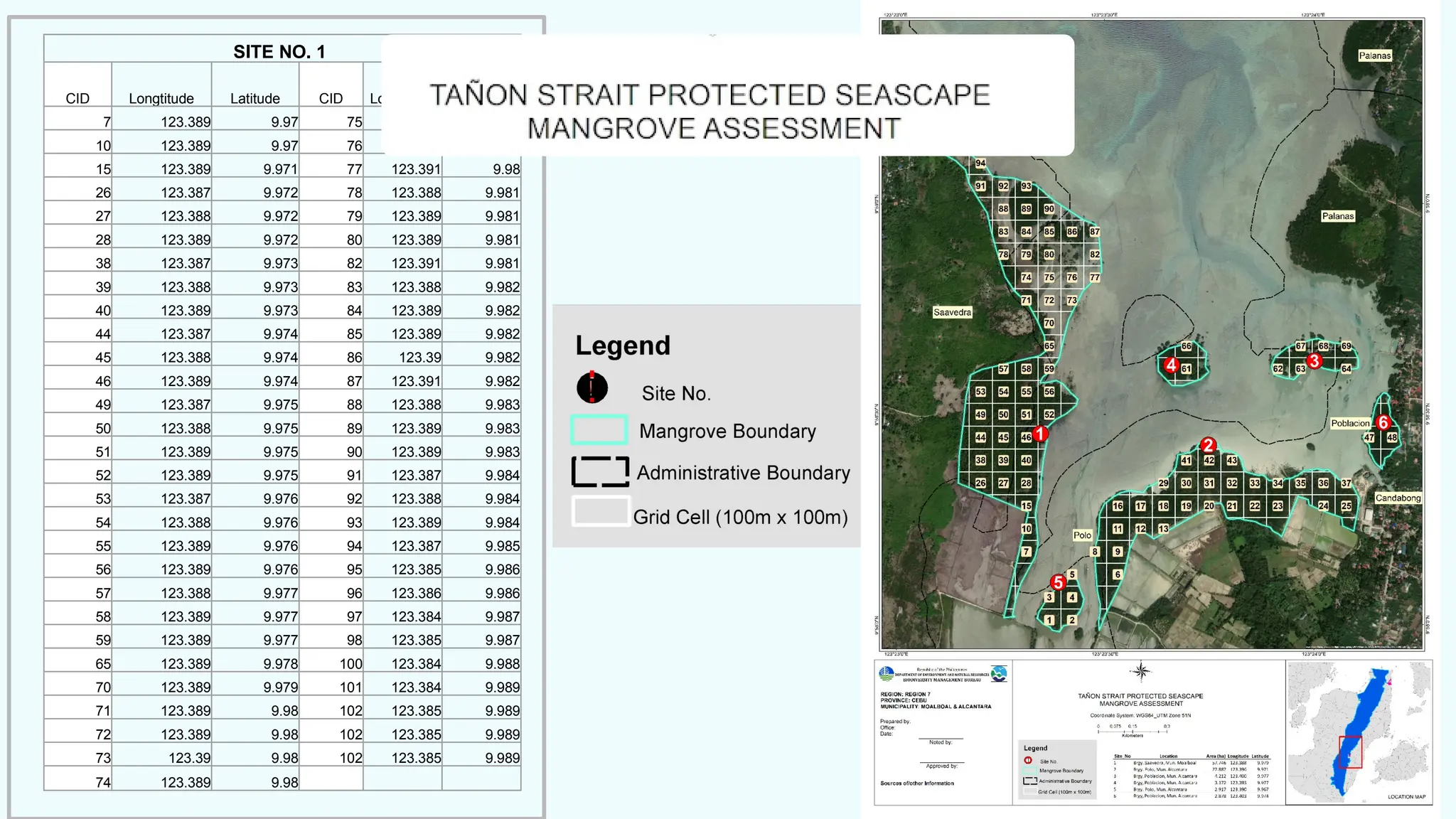 MANGROVE ASSESSMENT METHODS IN THE PHILIPPINES.pptx
