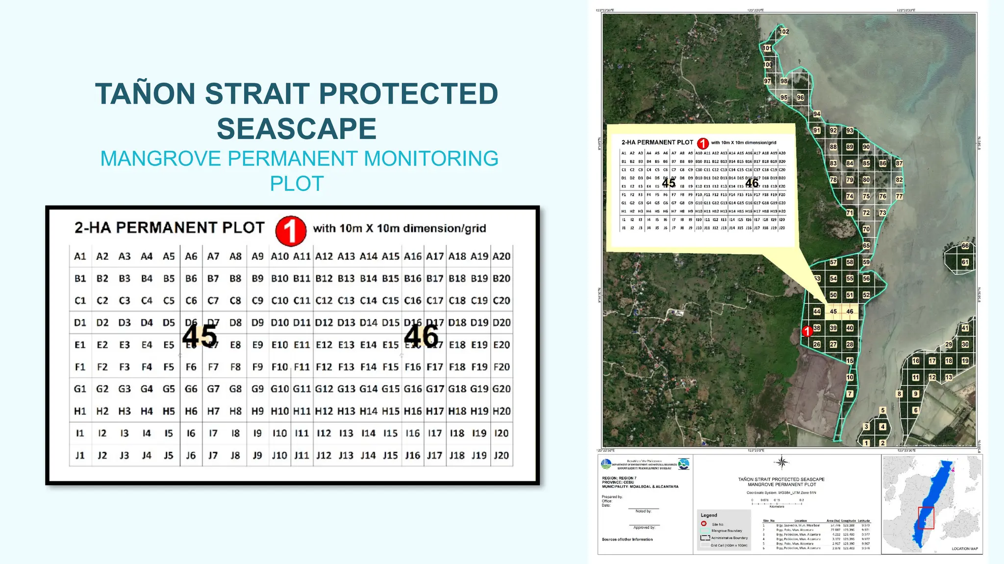 MANGROVE ASSESSMENT METHODS IN THE PHILIPPINES.pptx