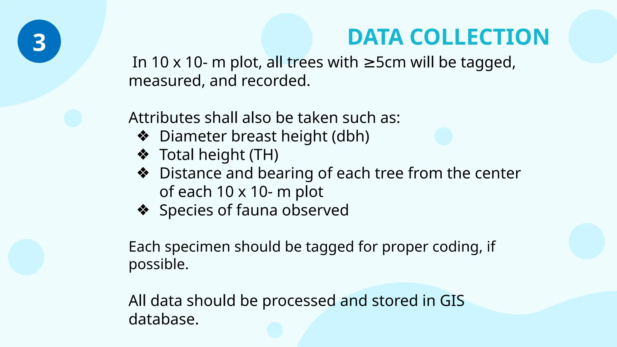 MANGROVE ASSESSMENT METHODS IN THE PHILIPPINES.pptx