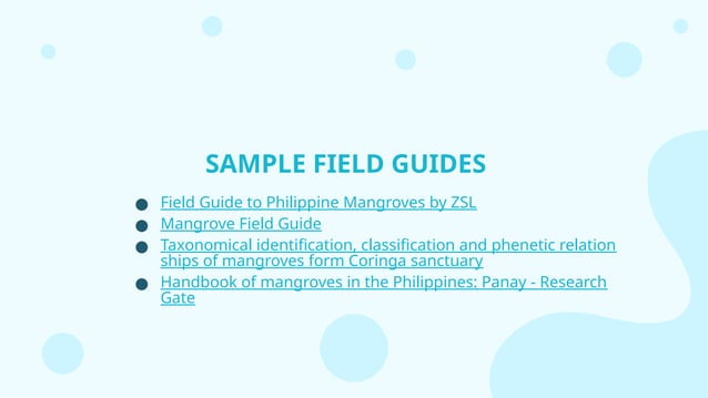 MANGROVE ASSESSMENT METHODS IN THE PHILIPPINES.pptx