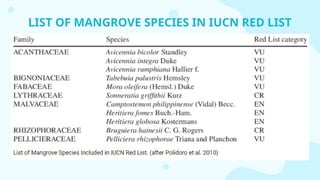 MANGROVE ASSESSMENT METHODS IN THE PHILIPPINES.pptx