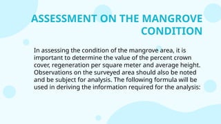MANGROVE ASSESSMENT METHODS IN THE PHILIPPINES.pptx
