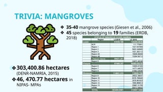 MANGROVE ASSESSMENT METHODS IN THE PHILIPPINES.pptx