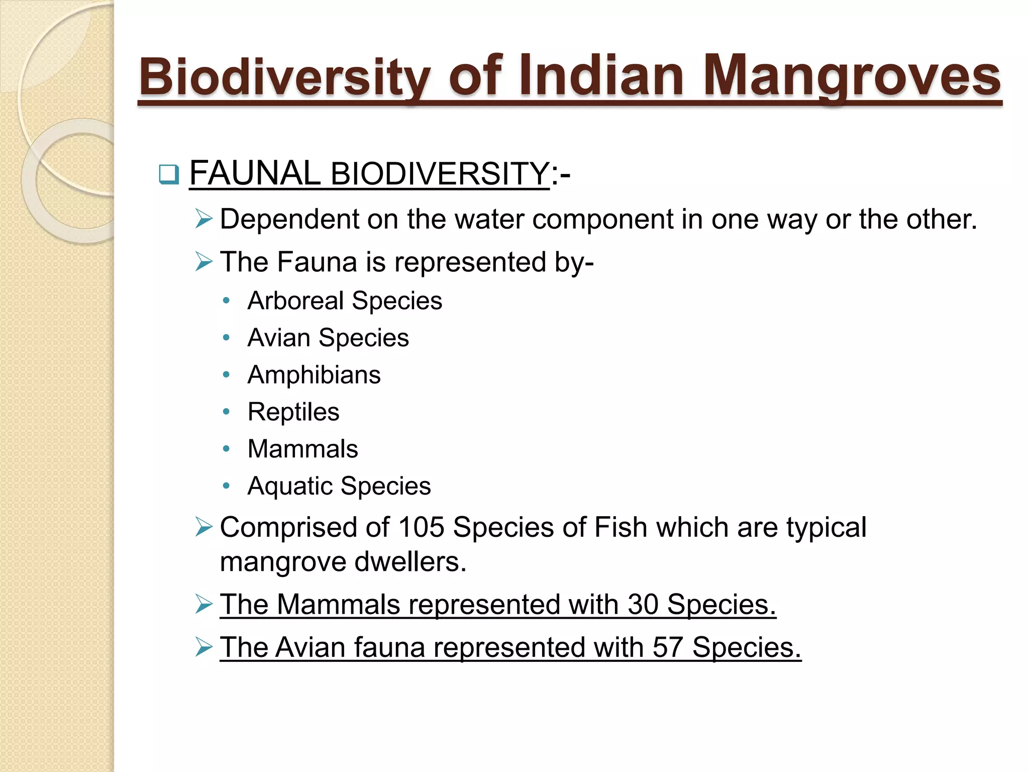 Mangrove biodiversity of india | PPTX