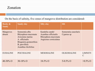 Mangrove ecosystem | PPTX