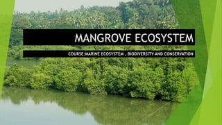 Mangrove Ecosystem: Habitat and Biodiversity | PPT