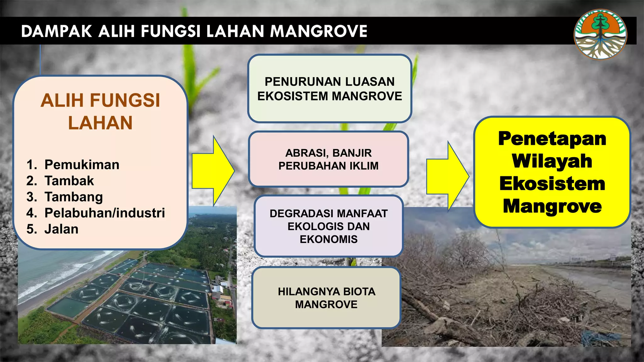 Integrated, opened, and participatory mangrove ecosystem management ...