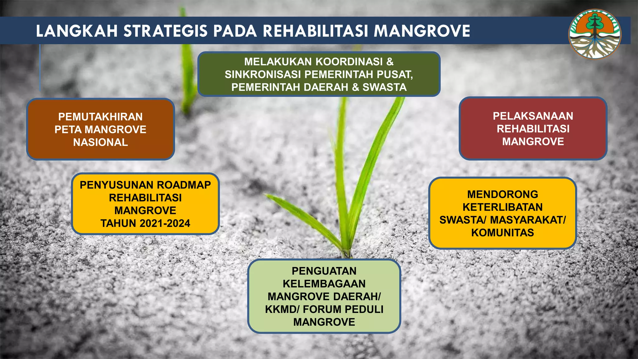 Integrated, opened, and participatory mangrove ecosystem management ...