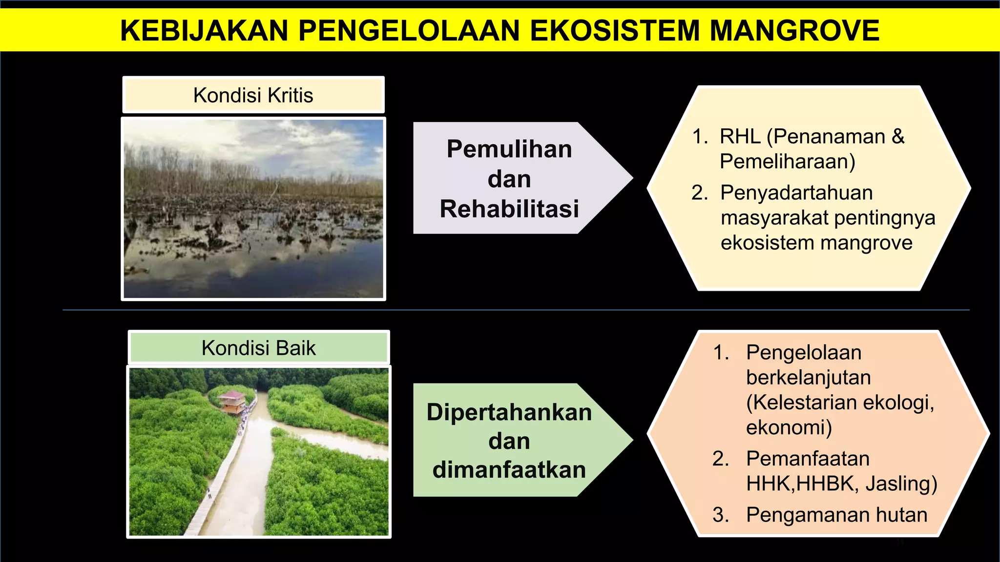 Integrated, opened, and participatory mangrove ecosystem management ...