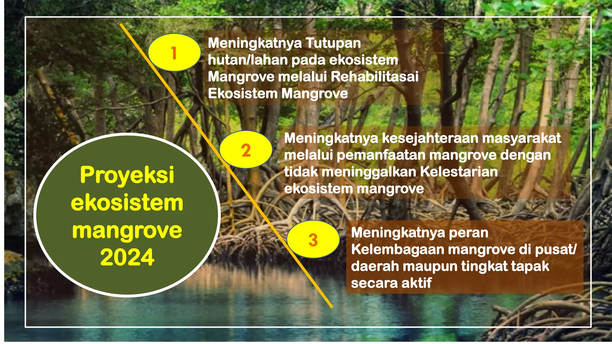 Integrated, opened, and participatory mangrove ecosystem management ...