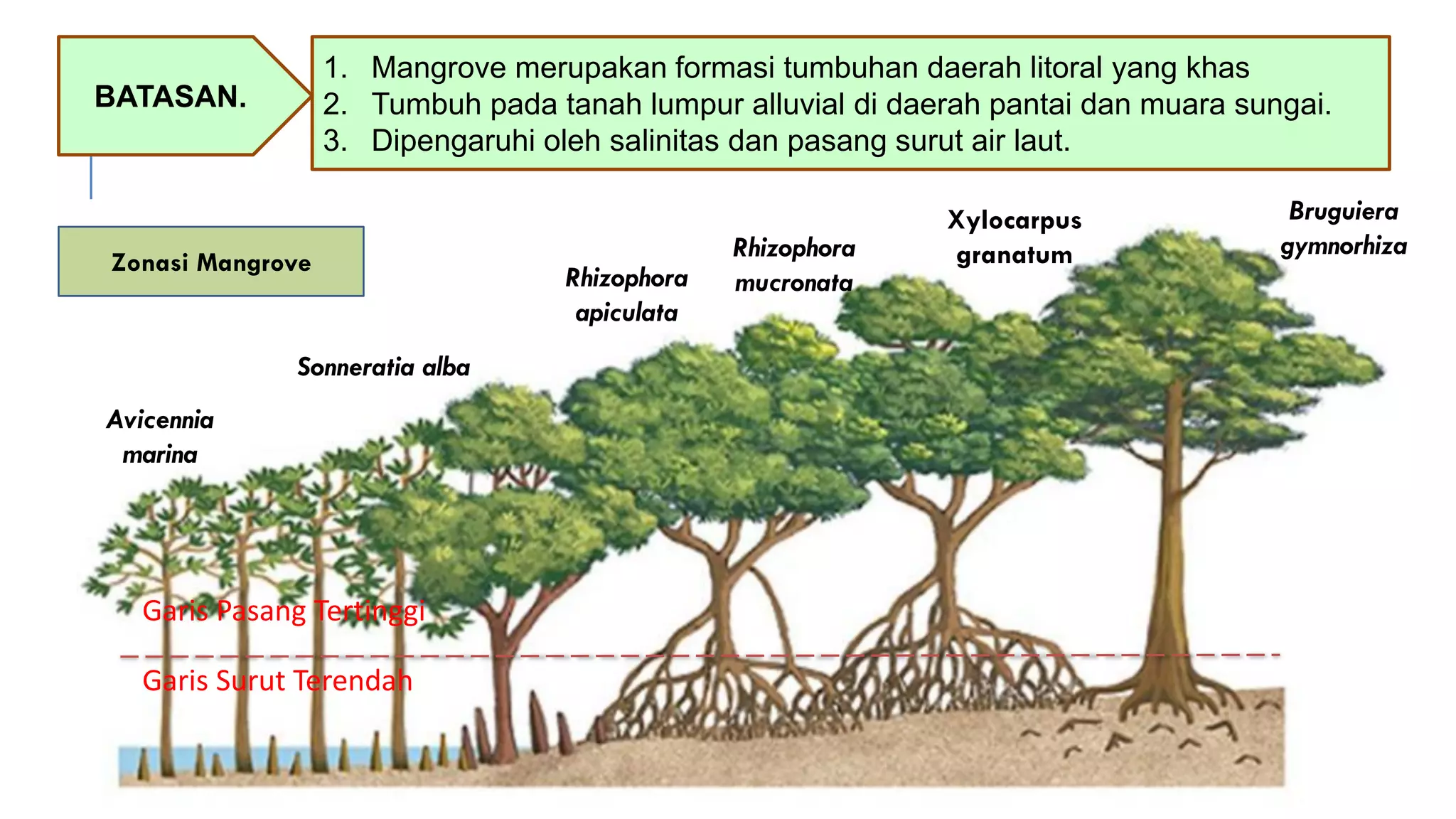 Integrated, opened, and participatory mangrove ecosystem management ...