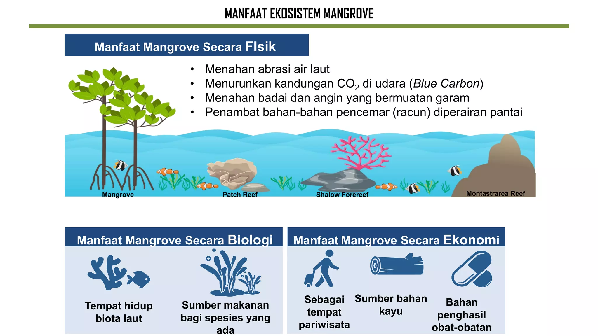 Integrated, opened, and participatory mangrove ecosystem management ...