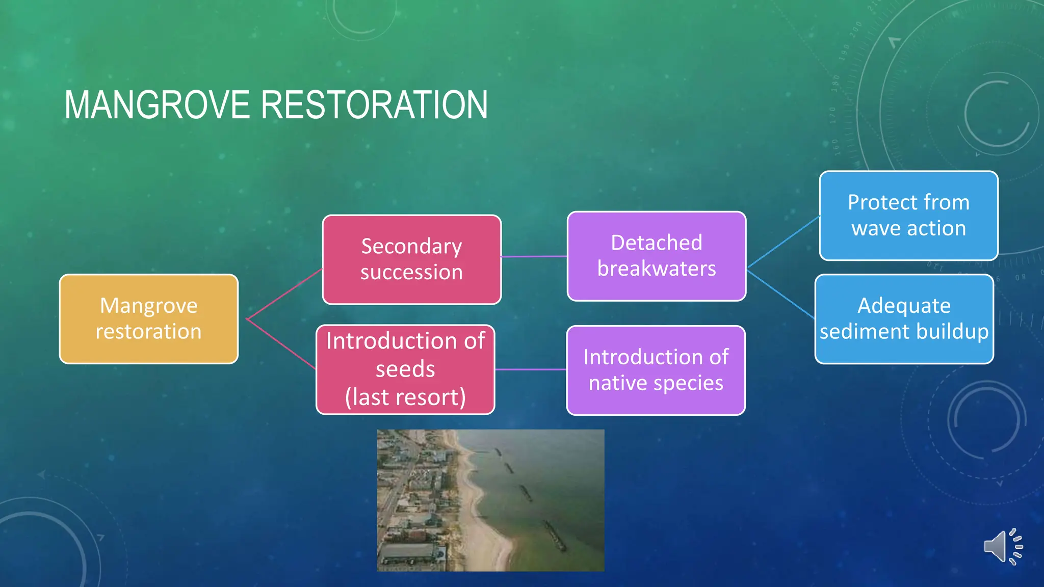 mangrove ecosystem restoration.pptx