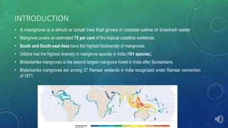 mangrove ecosystem restoration.pptx