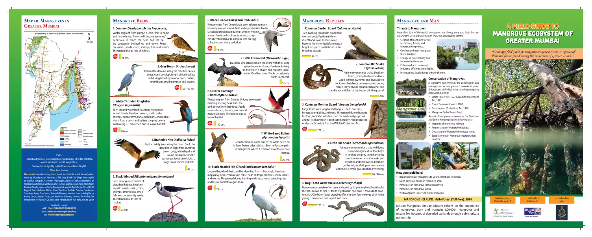 Field Guide to Mangrove Ecosystem of Greater Mumbai (English) | PDF