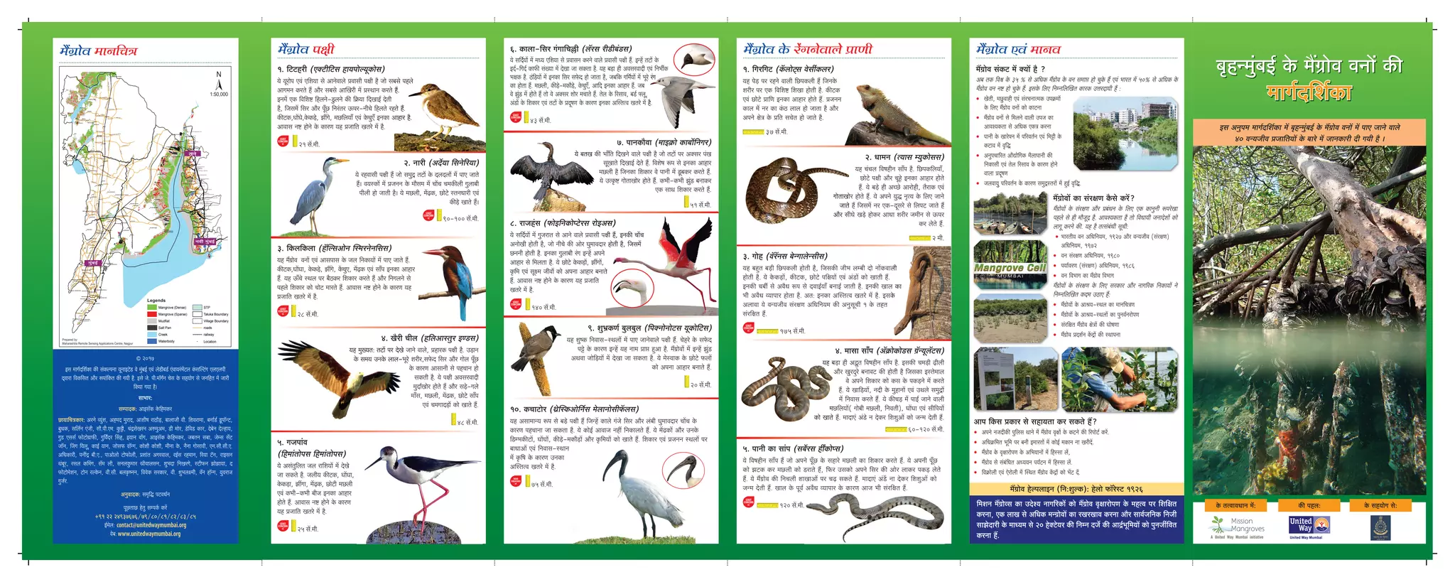 Field Guide to Mangrove Ecosystem of Greater Mumbai (Hindi) | PDF